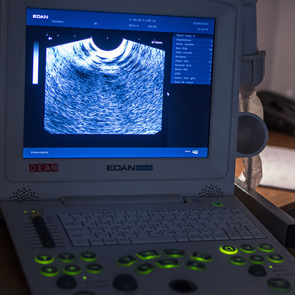 DIAGNOSTICO POR IMAGENES – CIGOR